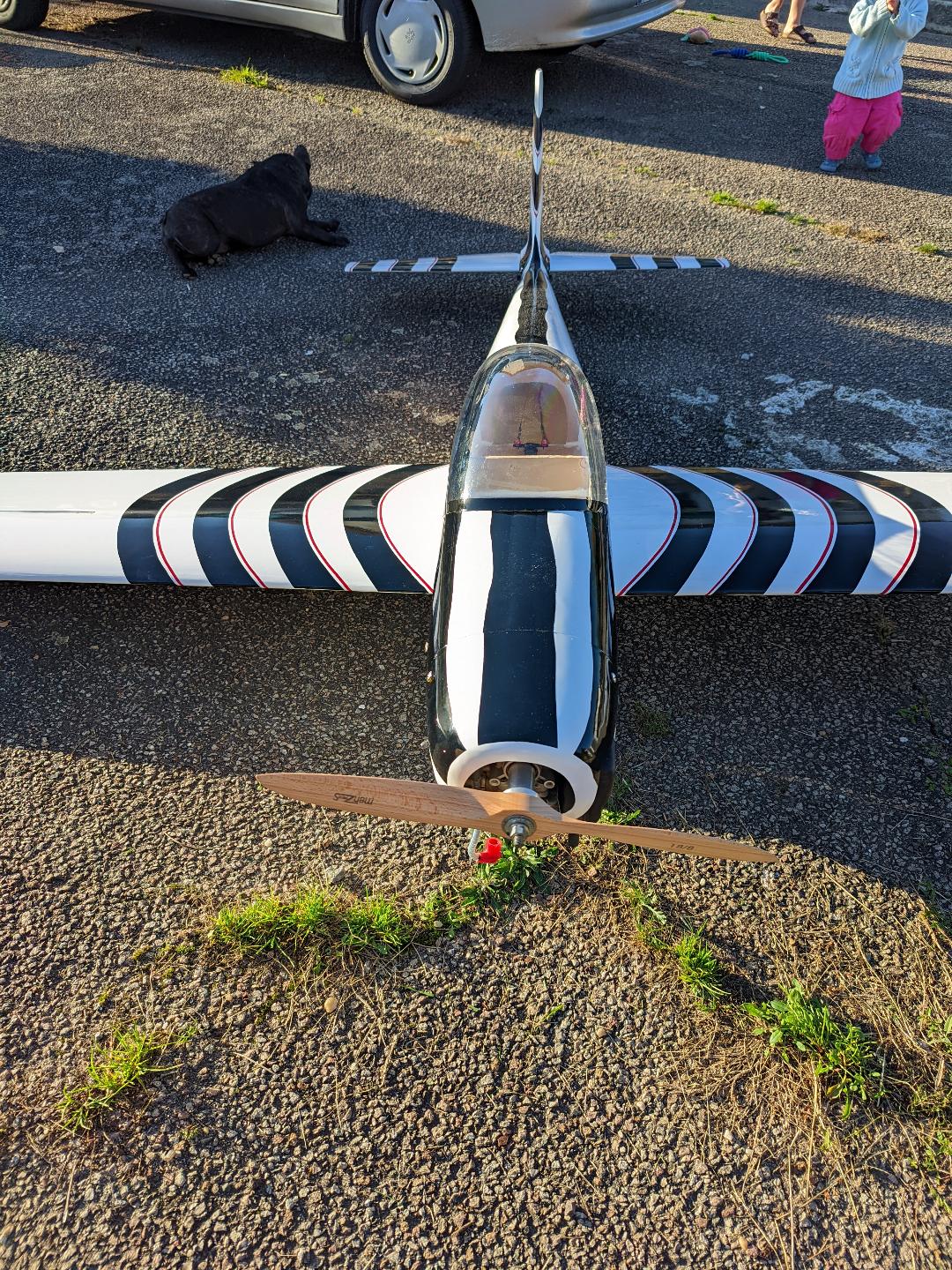 ASK 14 476 cm, RC-Tronics-Topp-Rippin e.K